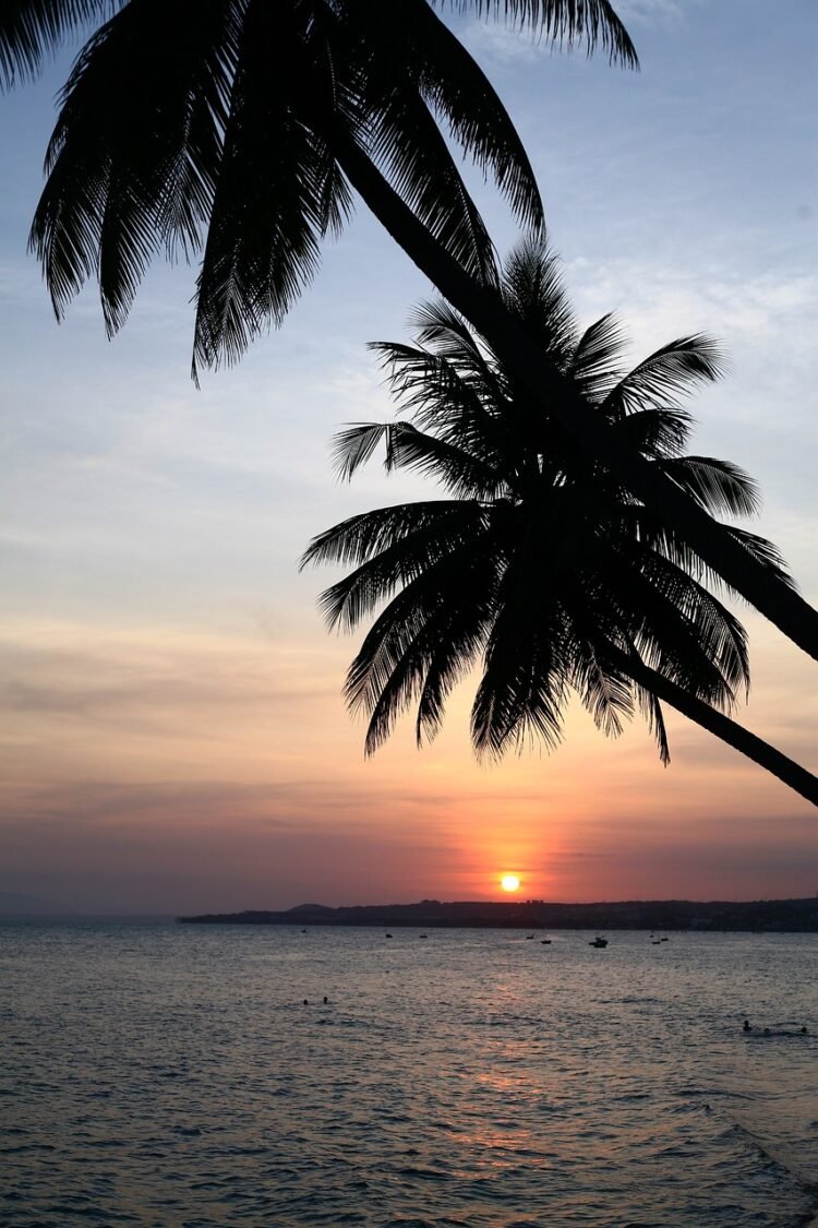 Transform Your Screen with GIF Wallpapers - RedGIF